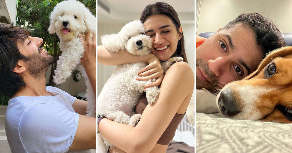 International Dog Day: Bollywood stars and their furry companions ...