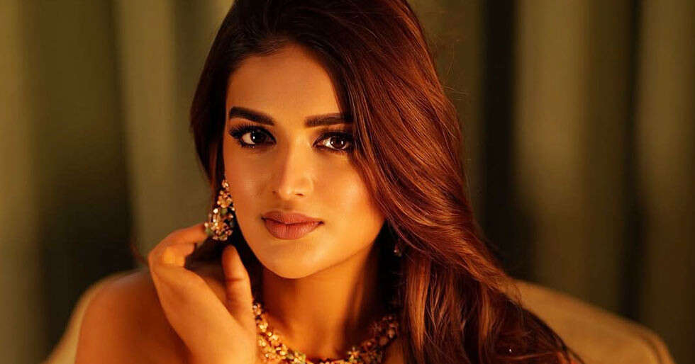 Nidhhi Agerwal Hits Back At A Netizen Trying To Question Her Film ...