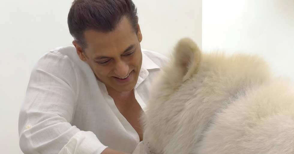 Salman Khan Shares a Heartfelt Post With His Furball | Filmfare.com