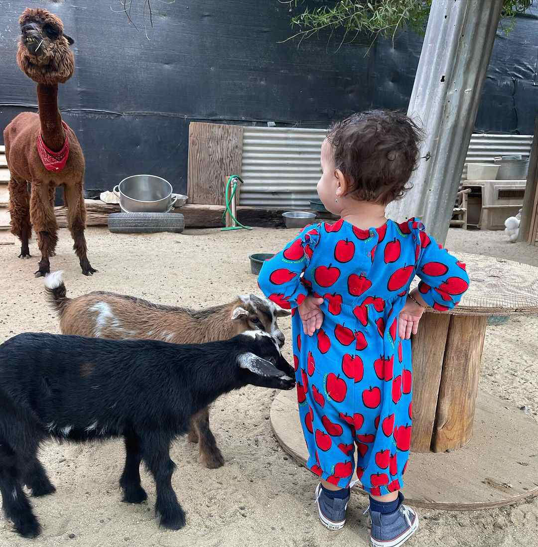 Nick Jonas shares unseen pics of Priyanka Chopra Jonas and Malti Marie ... Nick Jonas shares unseen pics of Priyanka Chopra Jonas and Malti Marie ...