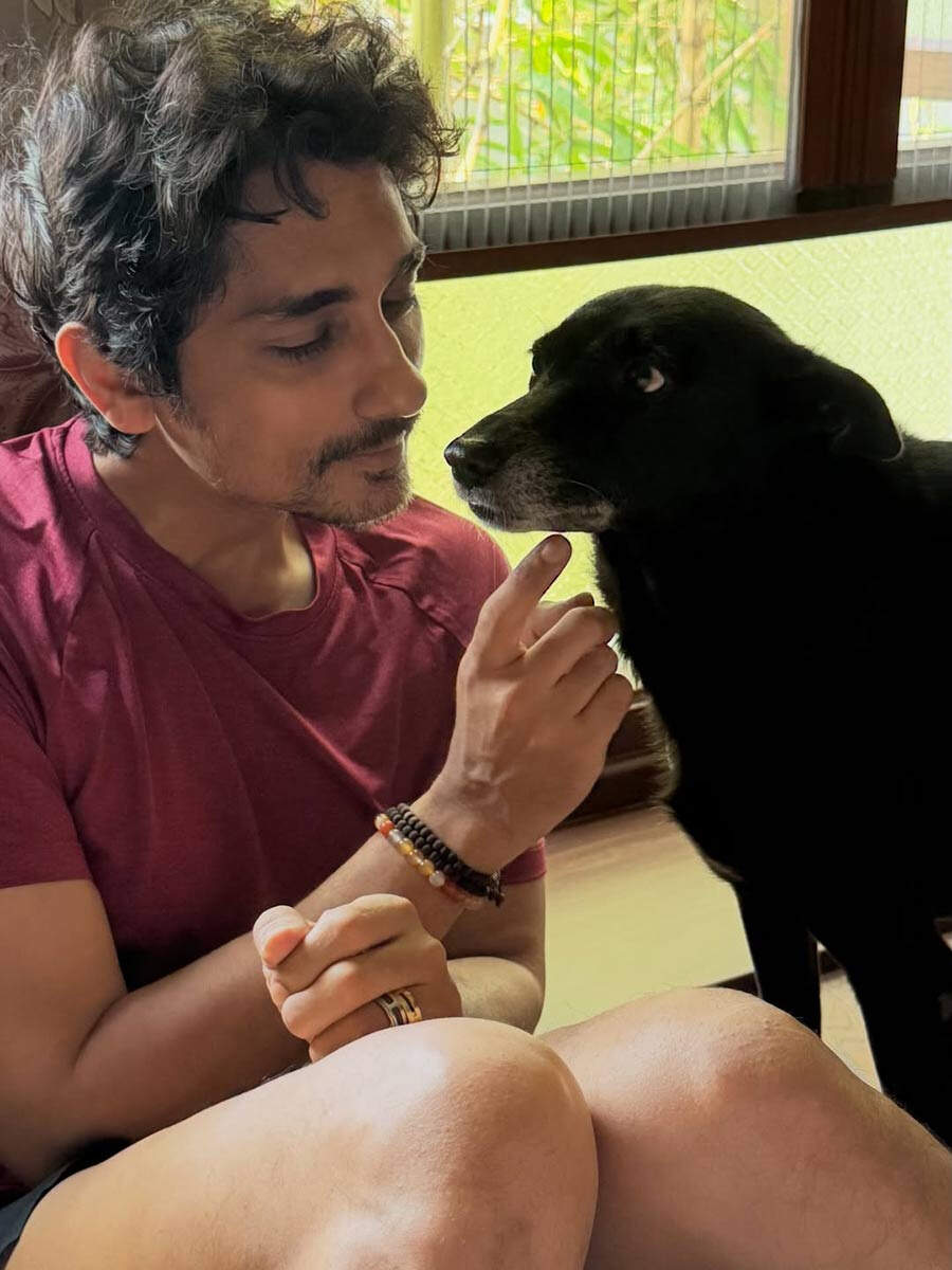 Aditi Rao Hydari’s birthday wish for husband Siddharth is full of love ...