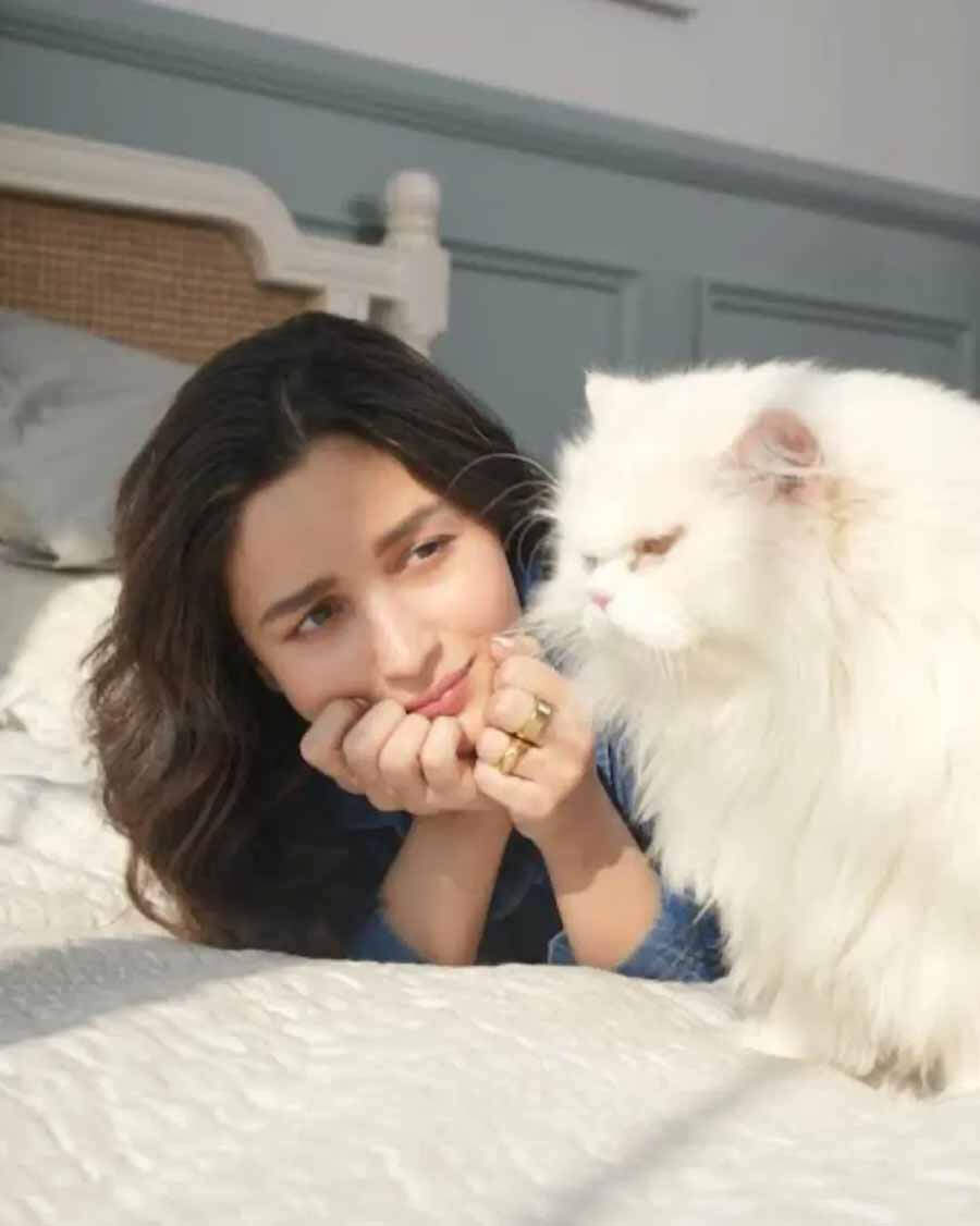 Bollywood Stars Celebrate National Pet Day With Their Adorable ...