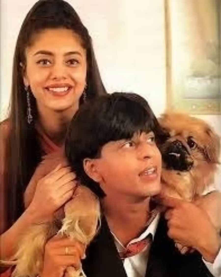 Bollywood Stars Celebrate National Pet Day With Their Adorable ...