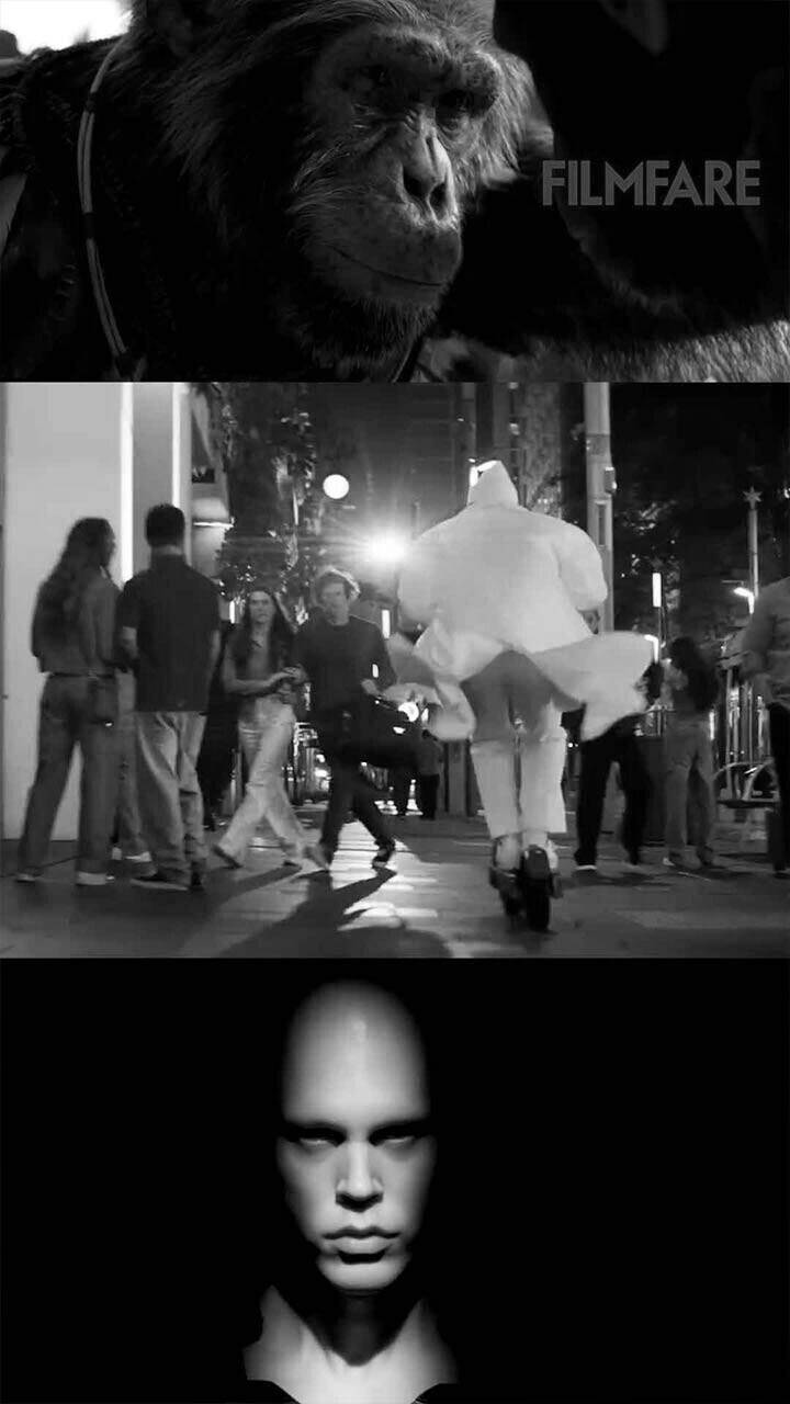 10 Hollywood Movies From The First Quarter of 2024 | Filmfare.com